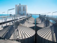 Notre Histoire - Rose Blanche Group